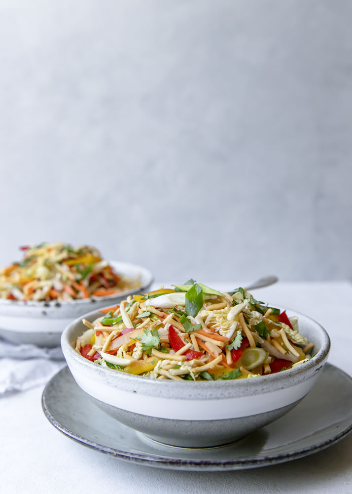Rainbow Fried Noodle Salad - Chang's Authentic Asian Cooking Est 1968